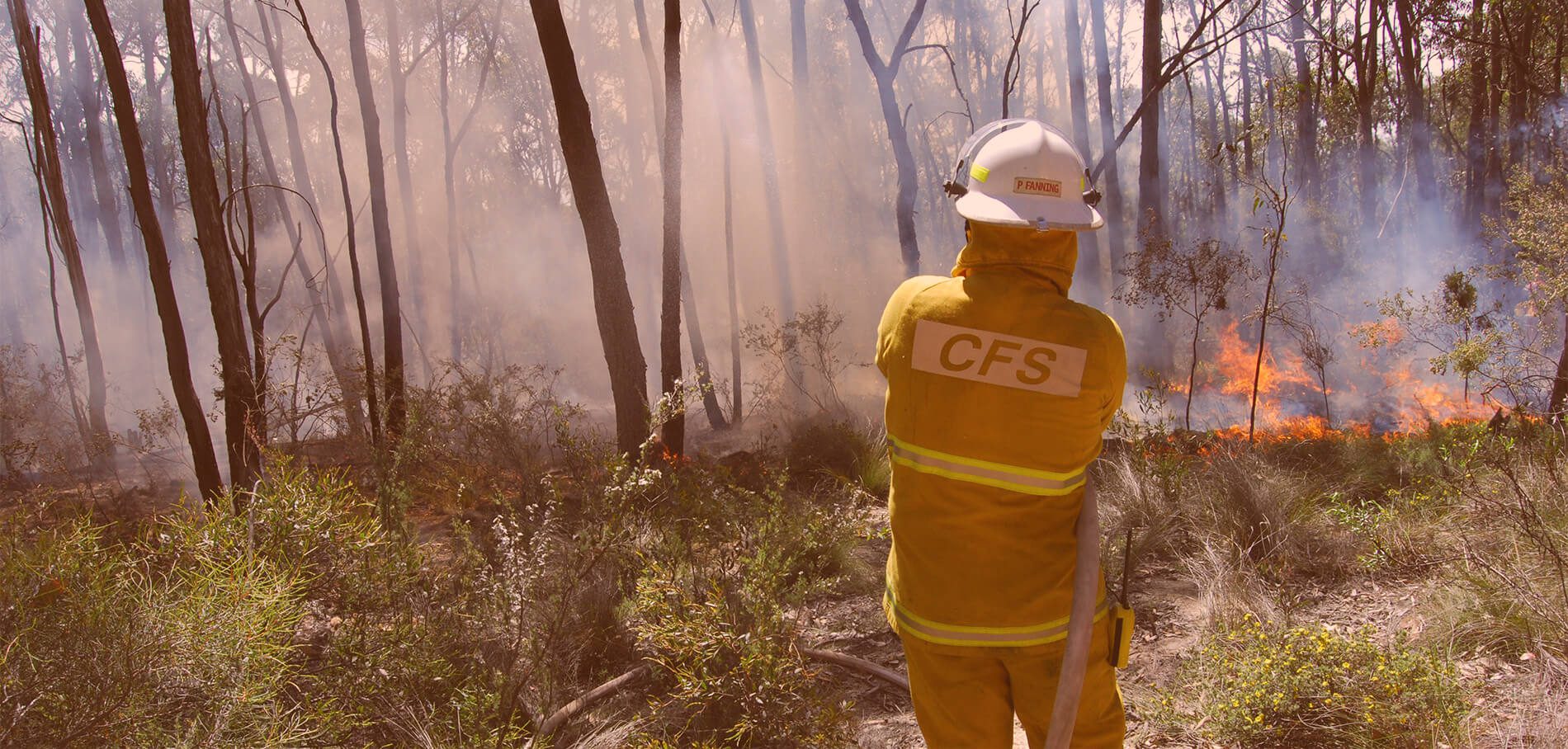 Thank you - CFS Foundation